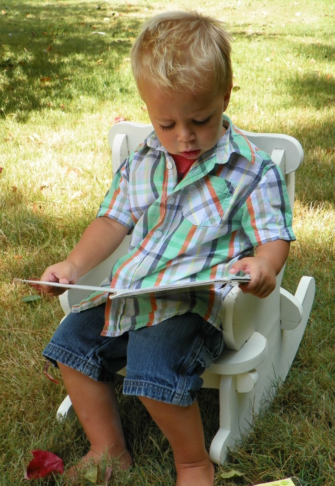 OUT IN THE FIELDS: 2 Year Old Photo Shoot
