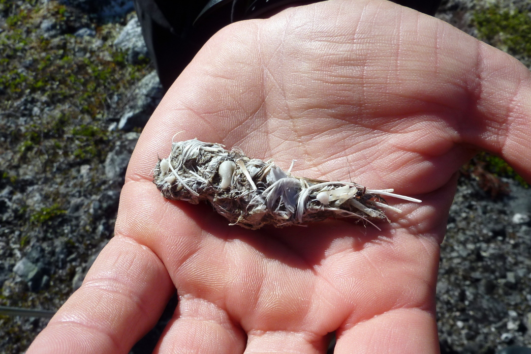 Another Side of this Life: Arctic Journey: Atammik and Fjords