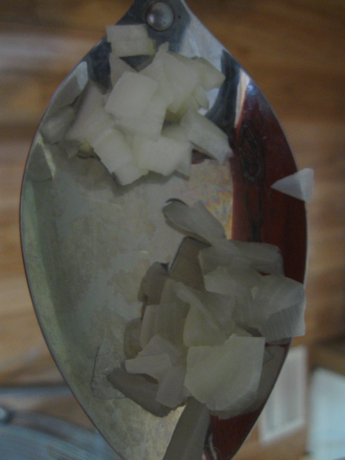 Preparation and survival: Canning onions