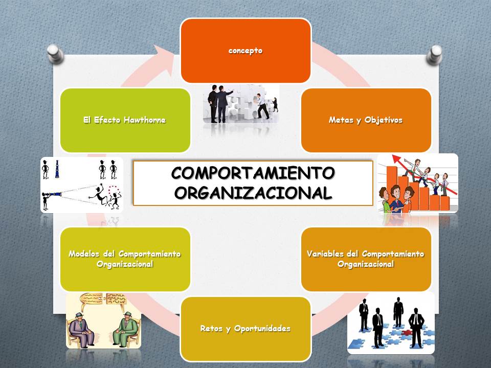 Comportamiento Organizacional Mapa Conceptual - arbol