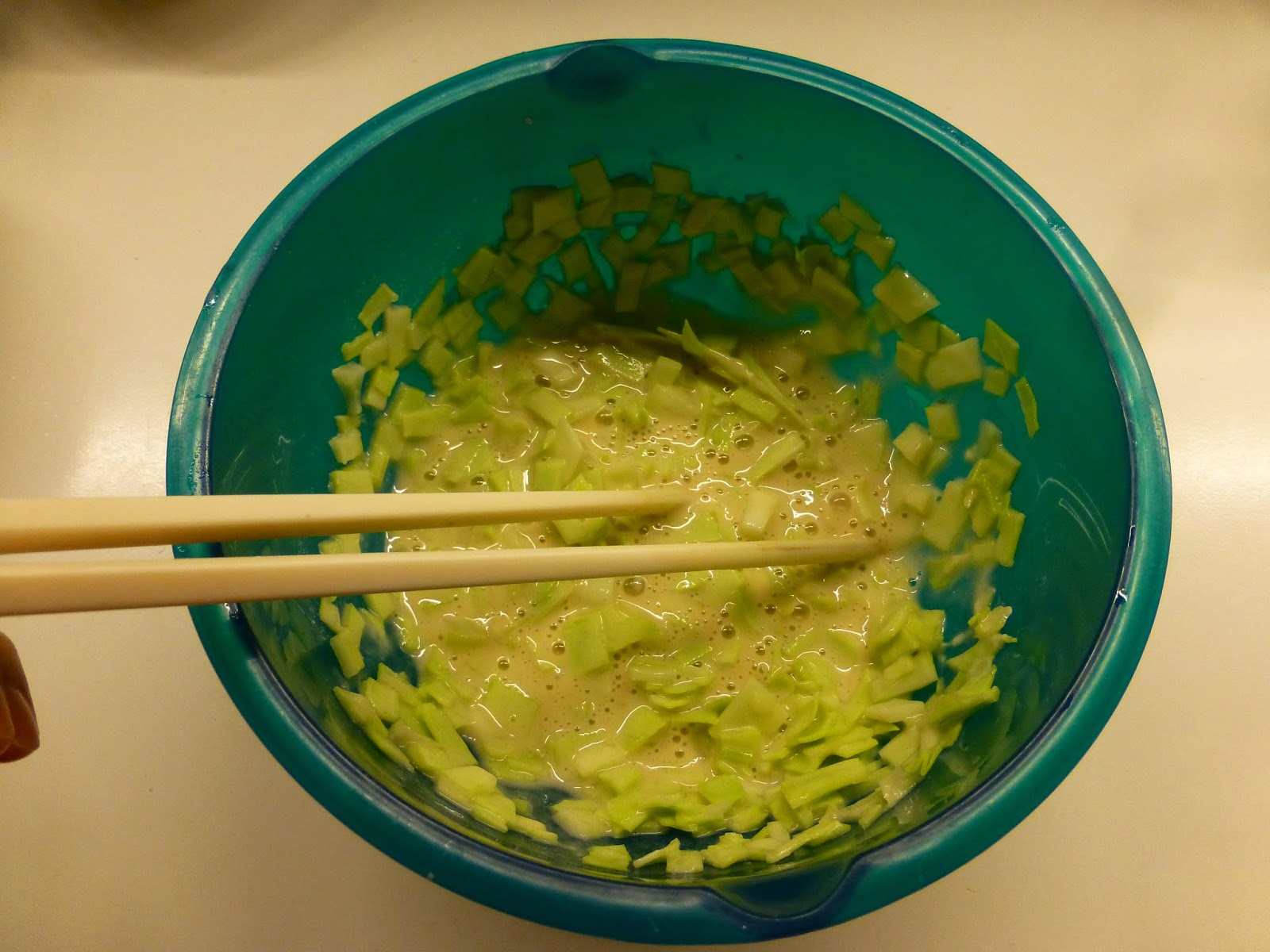 Family FECS: Osaka Okonomiyaki Japanese Pancake
