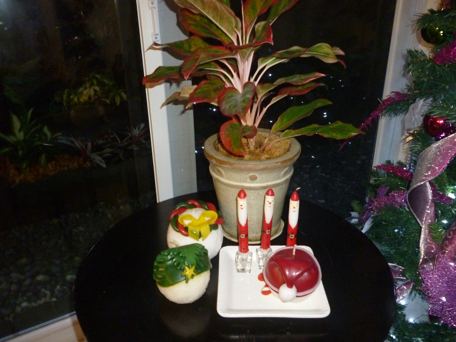 Tales and Stories of the 10,000 wpm Talking Mommah