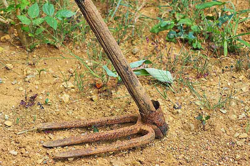 Ryukyu Life: The Japanese Bicchu Hoe (備中鍬 ) or Call It a Potato Hook