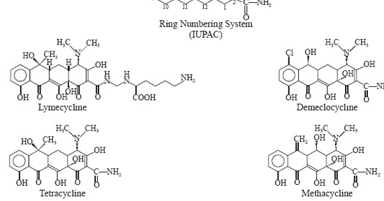 Tetracyclines antibiotics