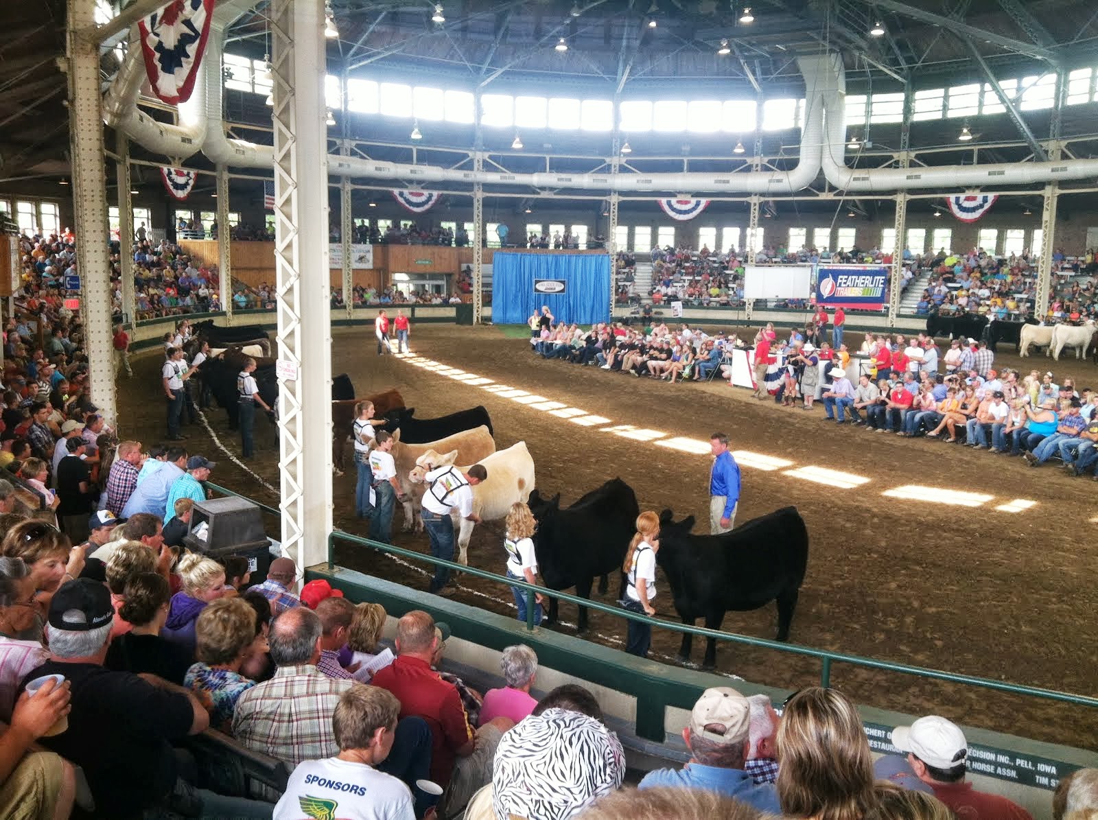 DIAMOND G CATTLE CO.: Iowa State Fair - Heifer Show Grand Drive