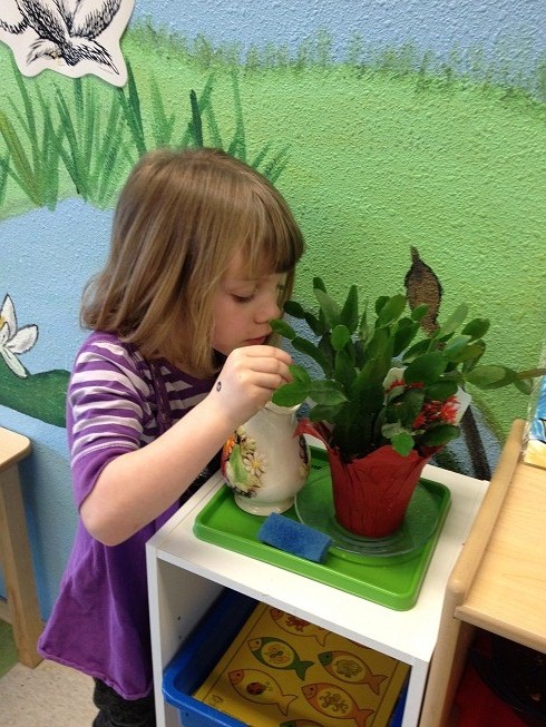 Discovery Kidzone Montessori Adventures: Practical Guide to Practical ...