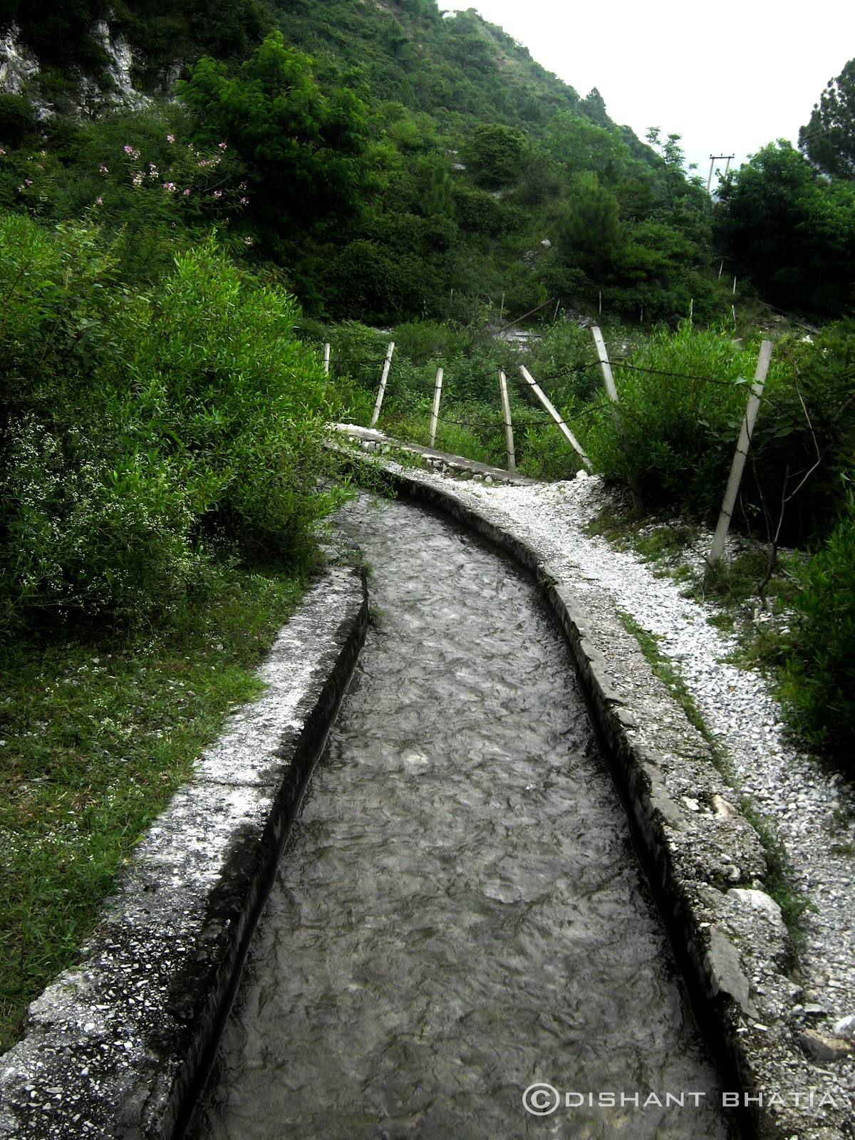 Panwadi Tales: Trek to Devi Pindi - A Photoblog