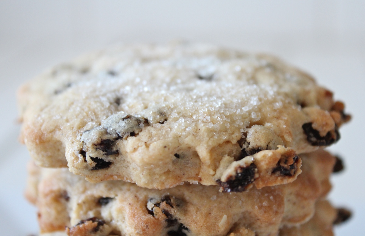 Currant Biscuits - Threadbare Creations