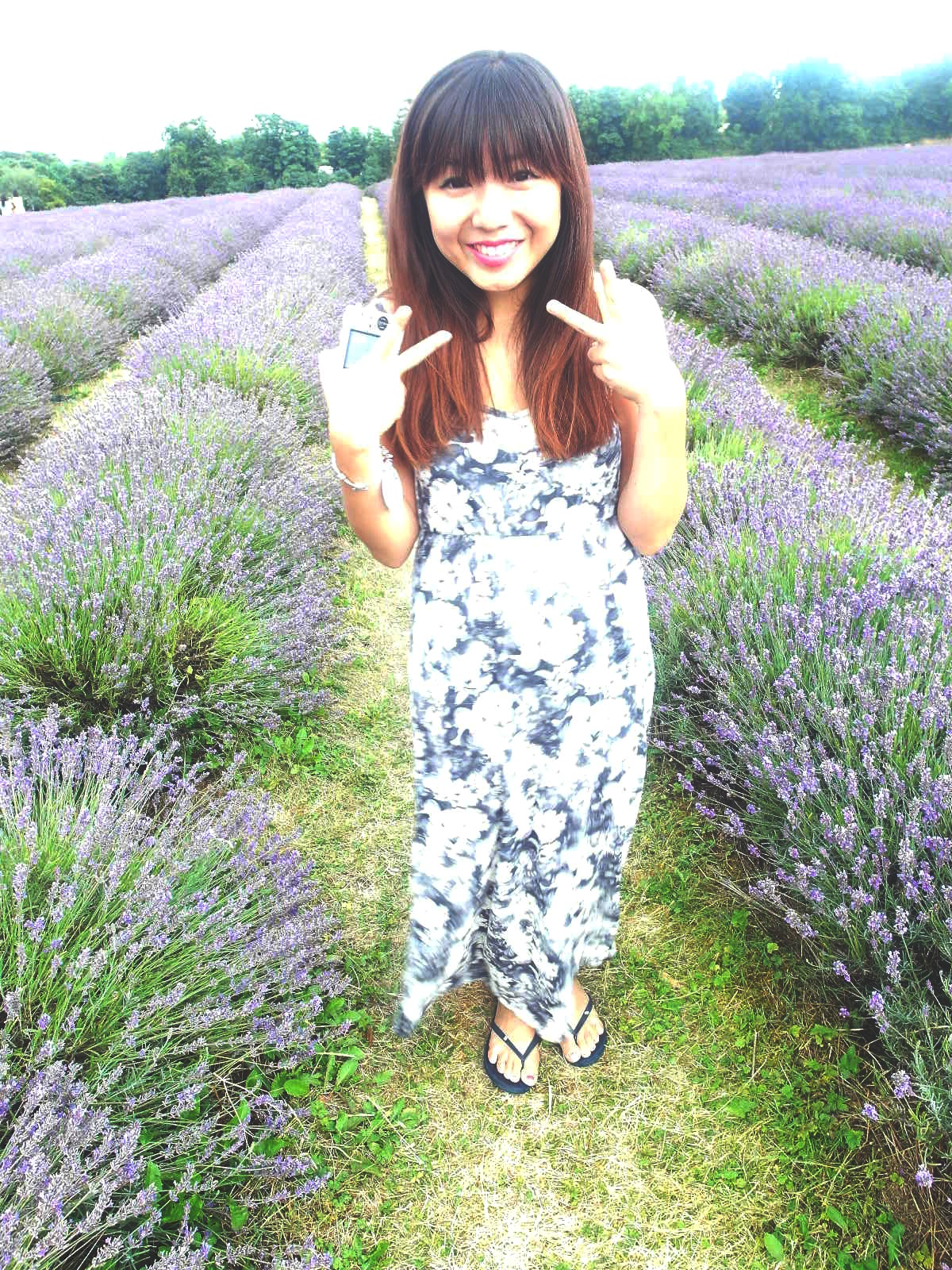 Mayfield Lavender Farm, Croydon | Lynette