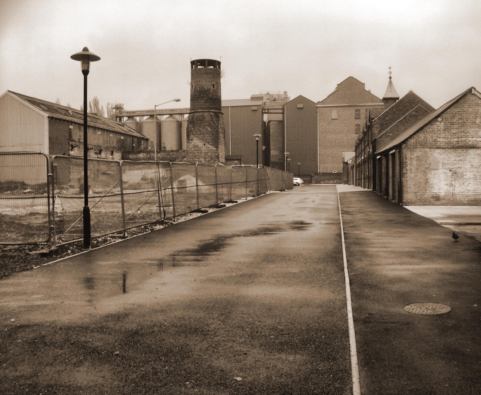 Andrew Lucas Photography