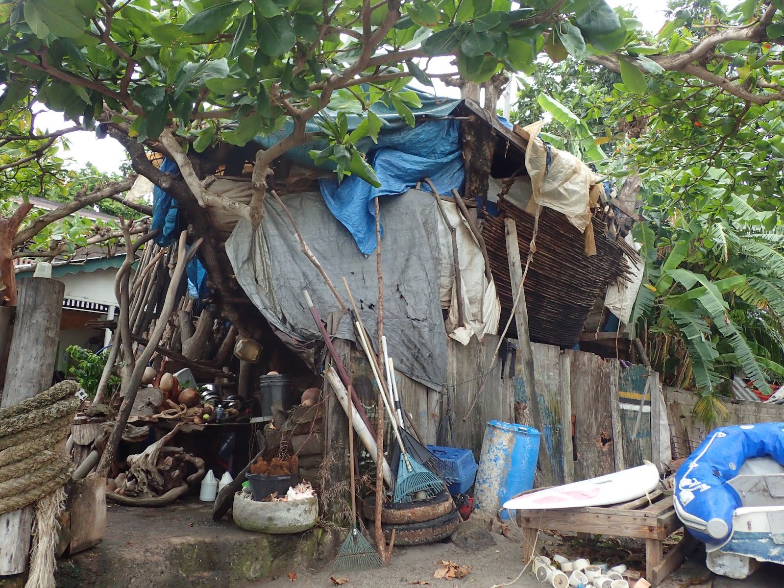 Things we did today...: June 2017