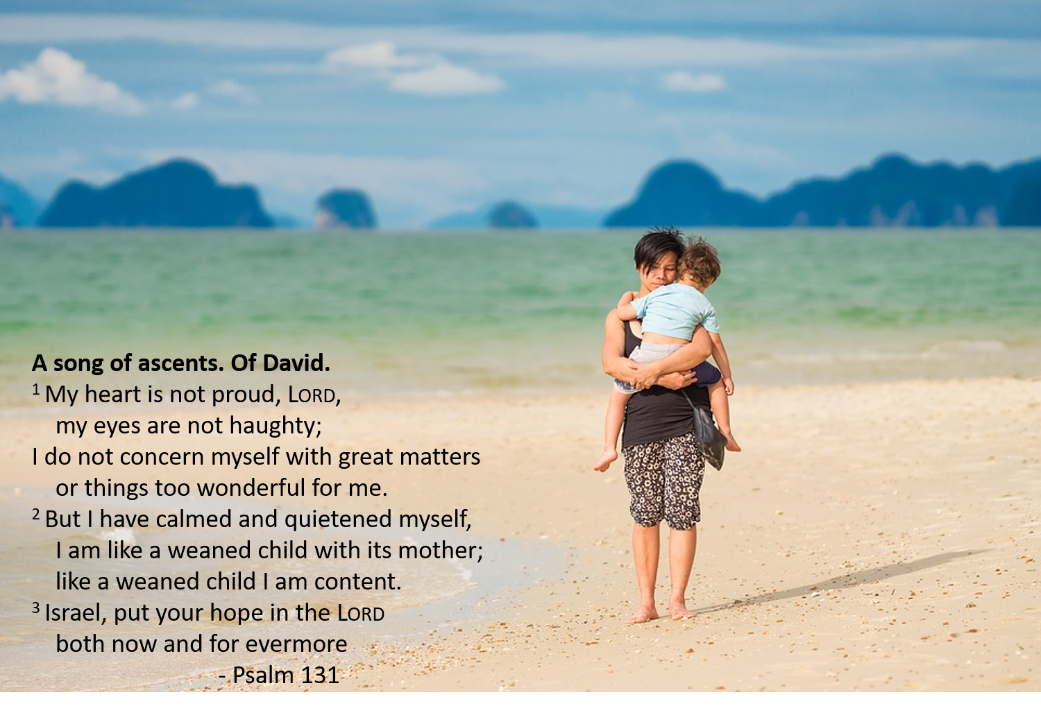 HOW IN THE WORLD!!: Psalm 131 A humble trusting hope in the LORD.