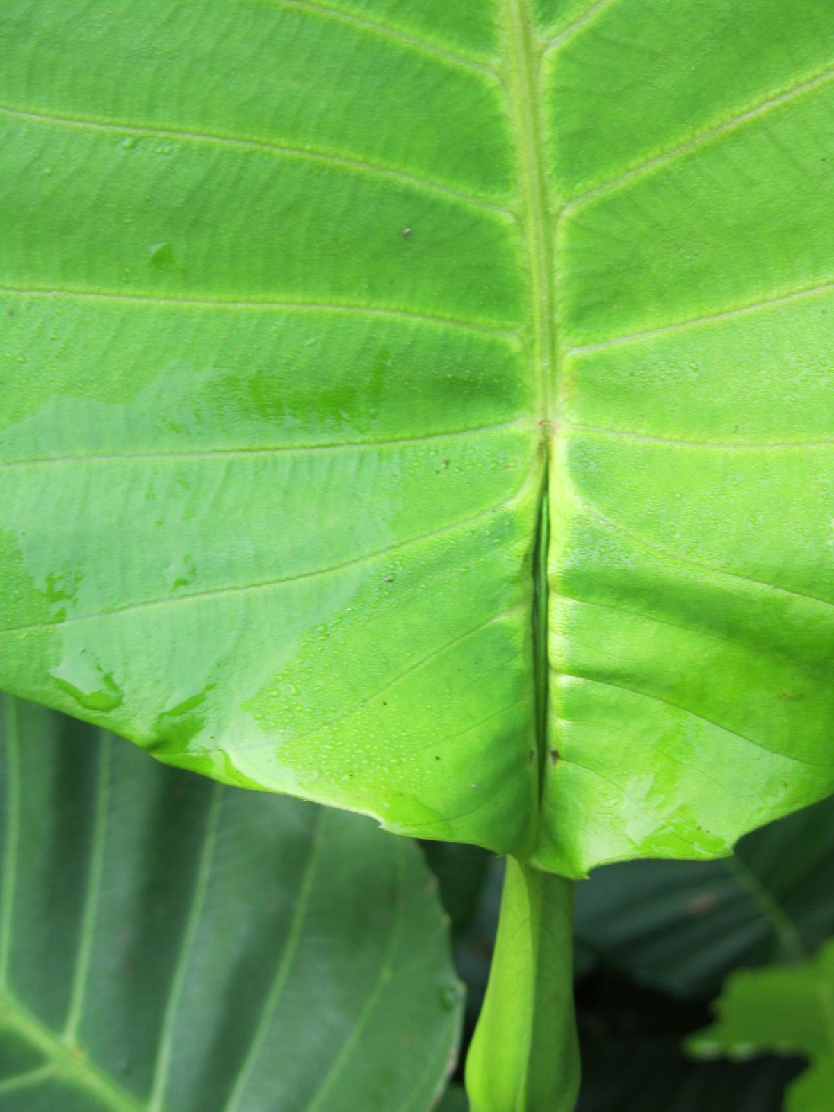 Life Sucks: CB Leave