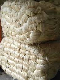 Salida de Sistema Agroalimentario: una mirada cercana a la realidad ...