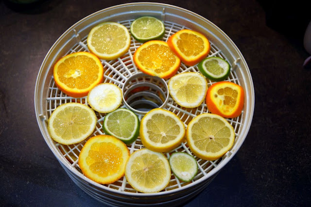 Suszone pomarańcze, cytryny, mandarynki i limonki