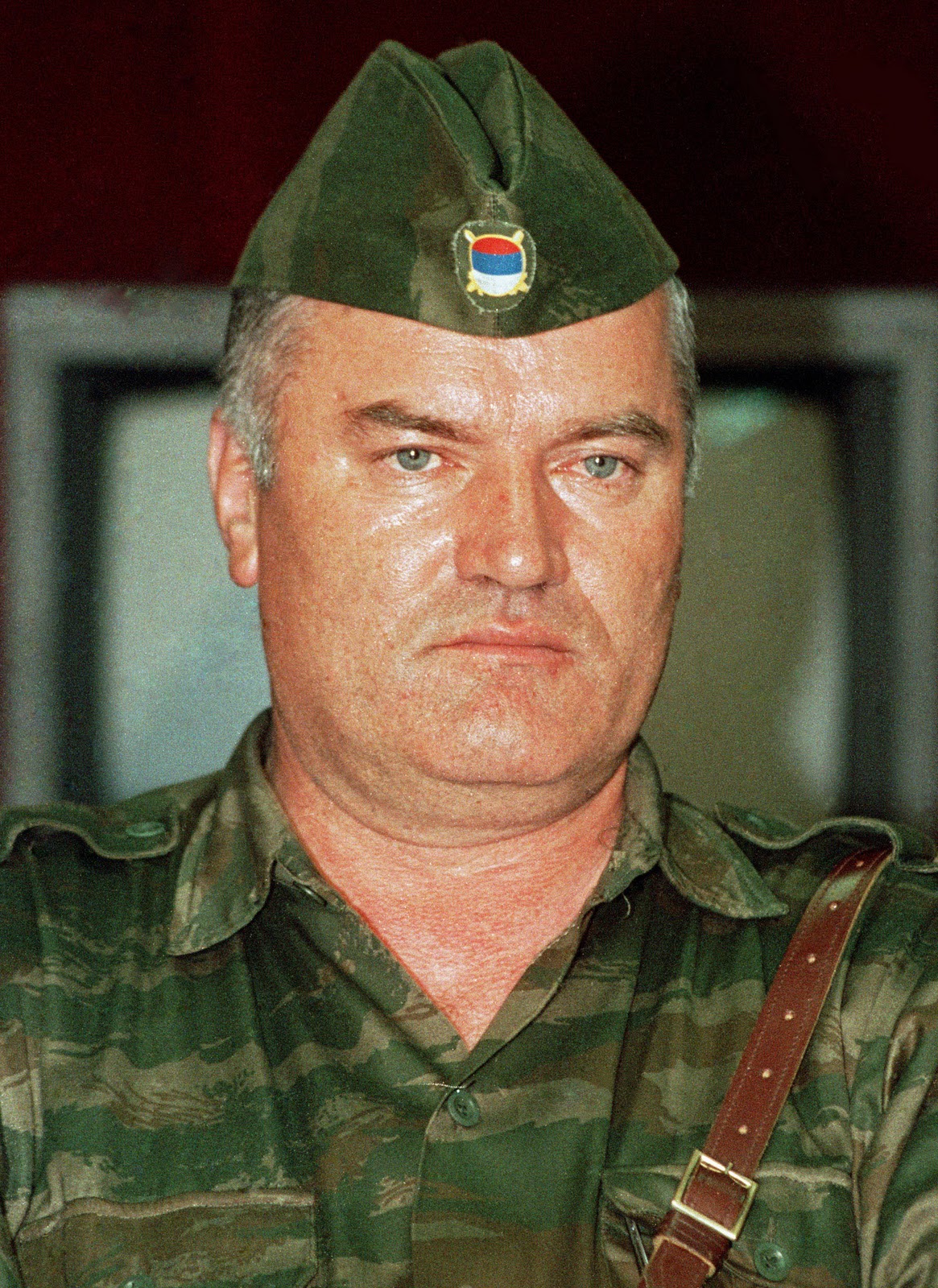 I Was Here.: Ratko Mladic