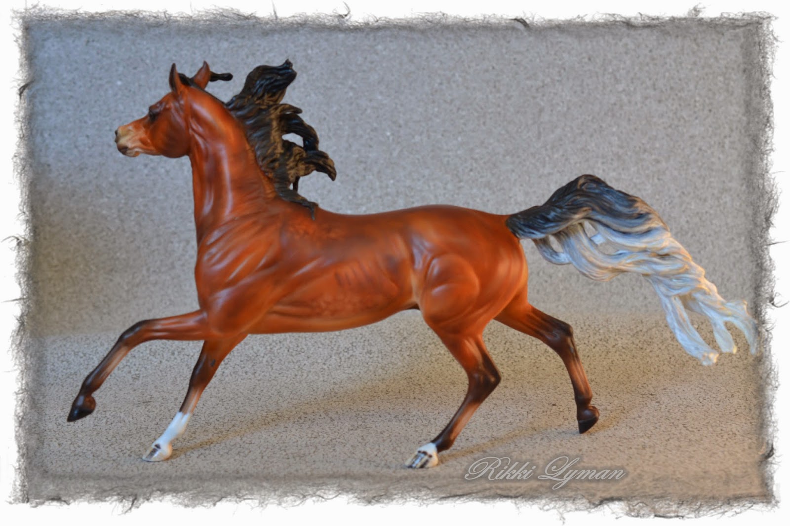 Strutt'n Steed Studio: ~Eli's Journal*