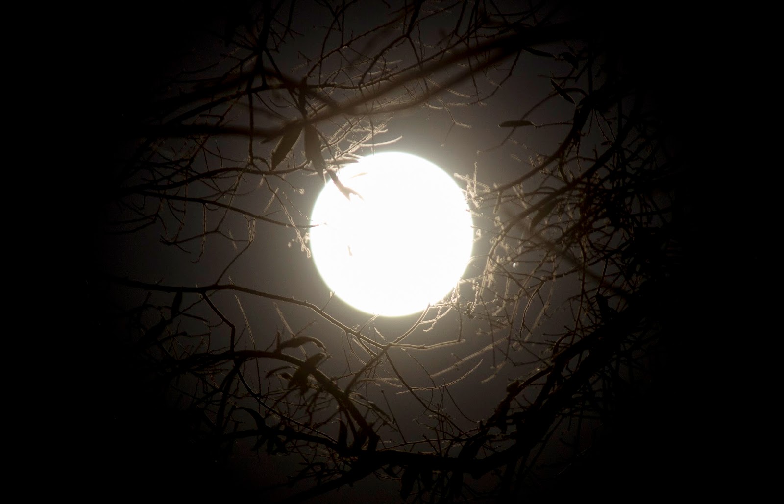 Creative Moon Photography