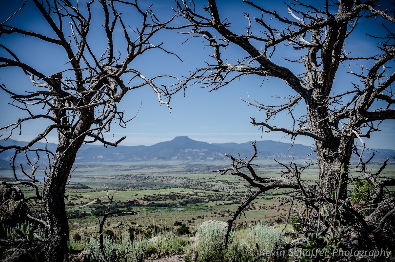 Kevin Schaffer Photography