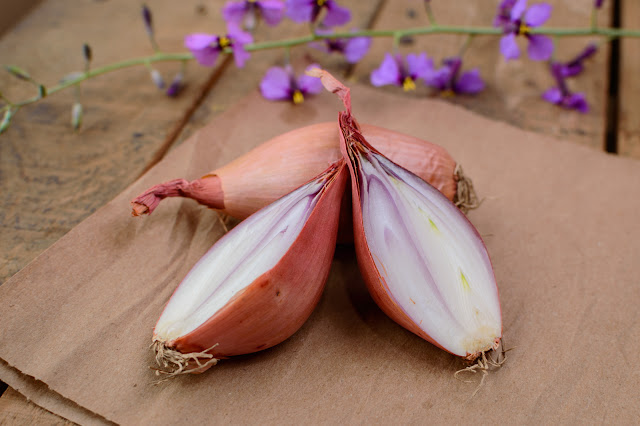 LA GASTRONAUTA: ¿Chalota o cebolla?