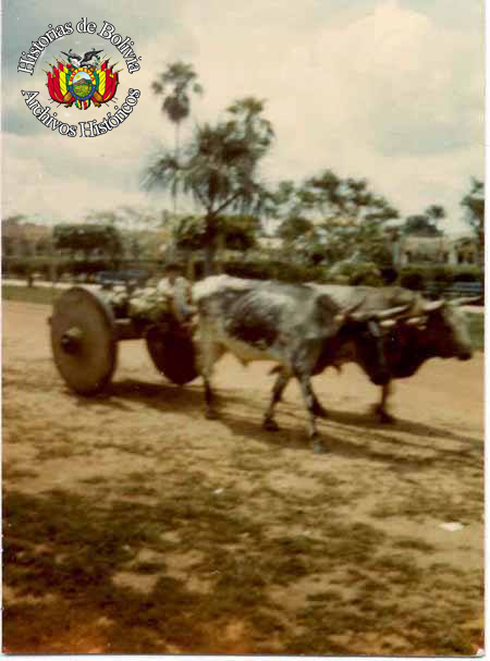 JUAN MARAZA Y PEDRO IGNACIO MUIBA DOS HÉROES BENIANOS ENFRENTADOS EN LA ...