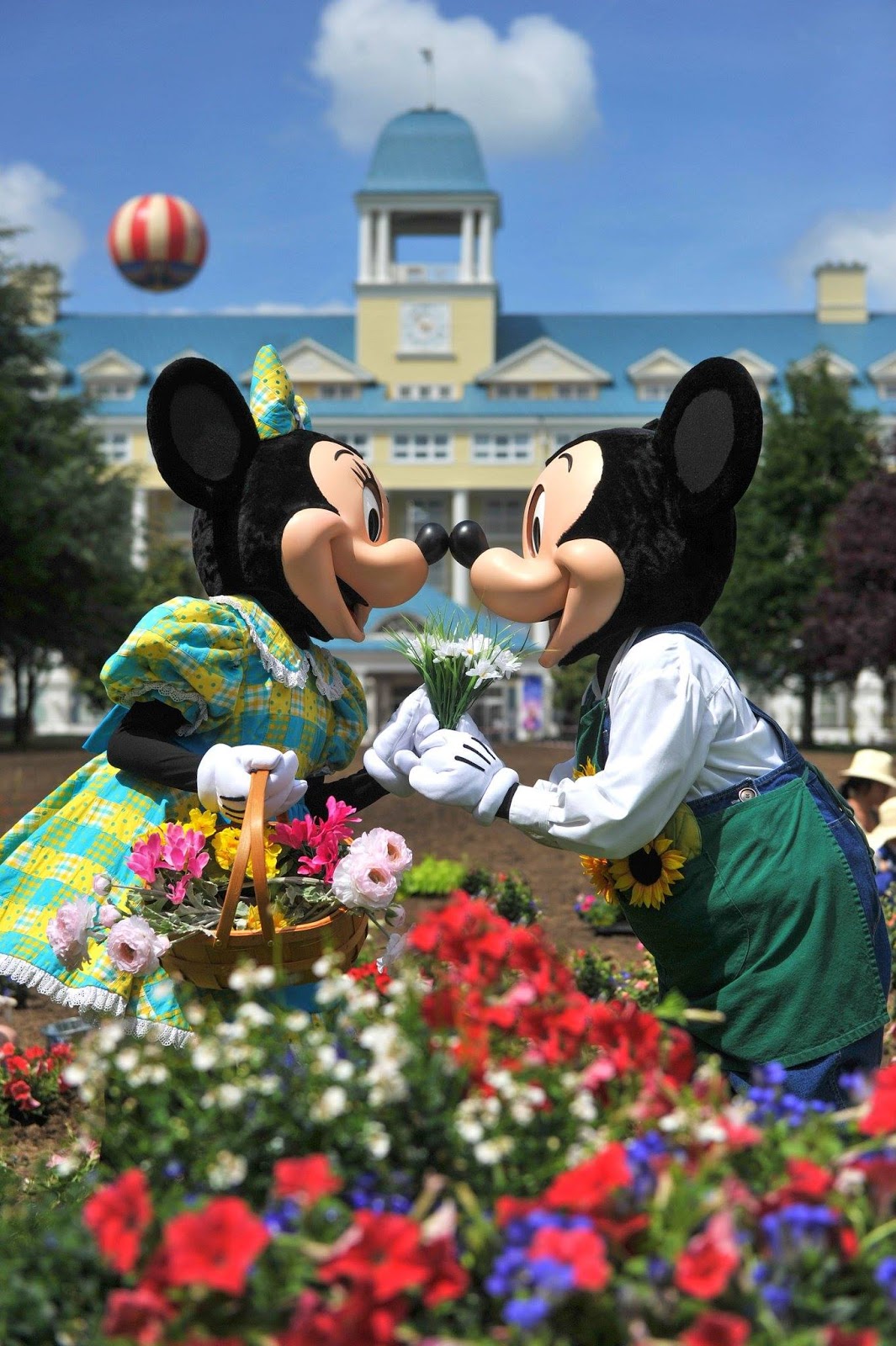 DISNEY KIND OF DAY: Dutch Garden at Disney's Newport Bay Club