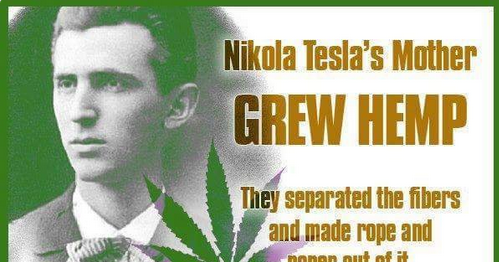 Tokin Woman: Nikola Tesla, His Mother, and Hemp