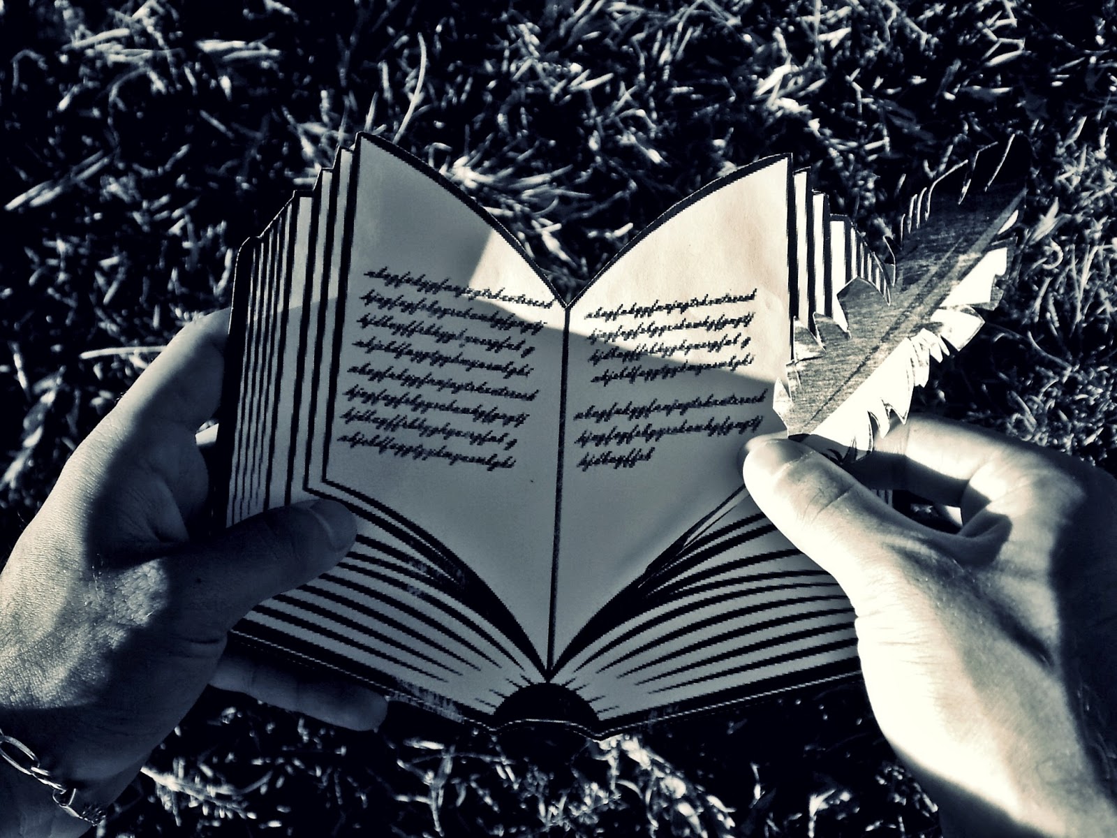 literatura y contemporaneidad