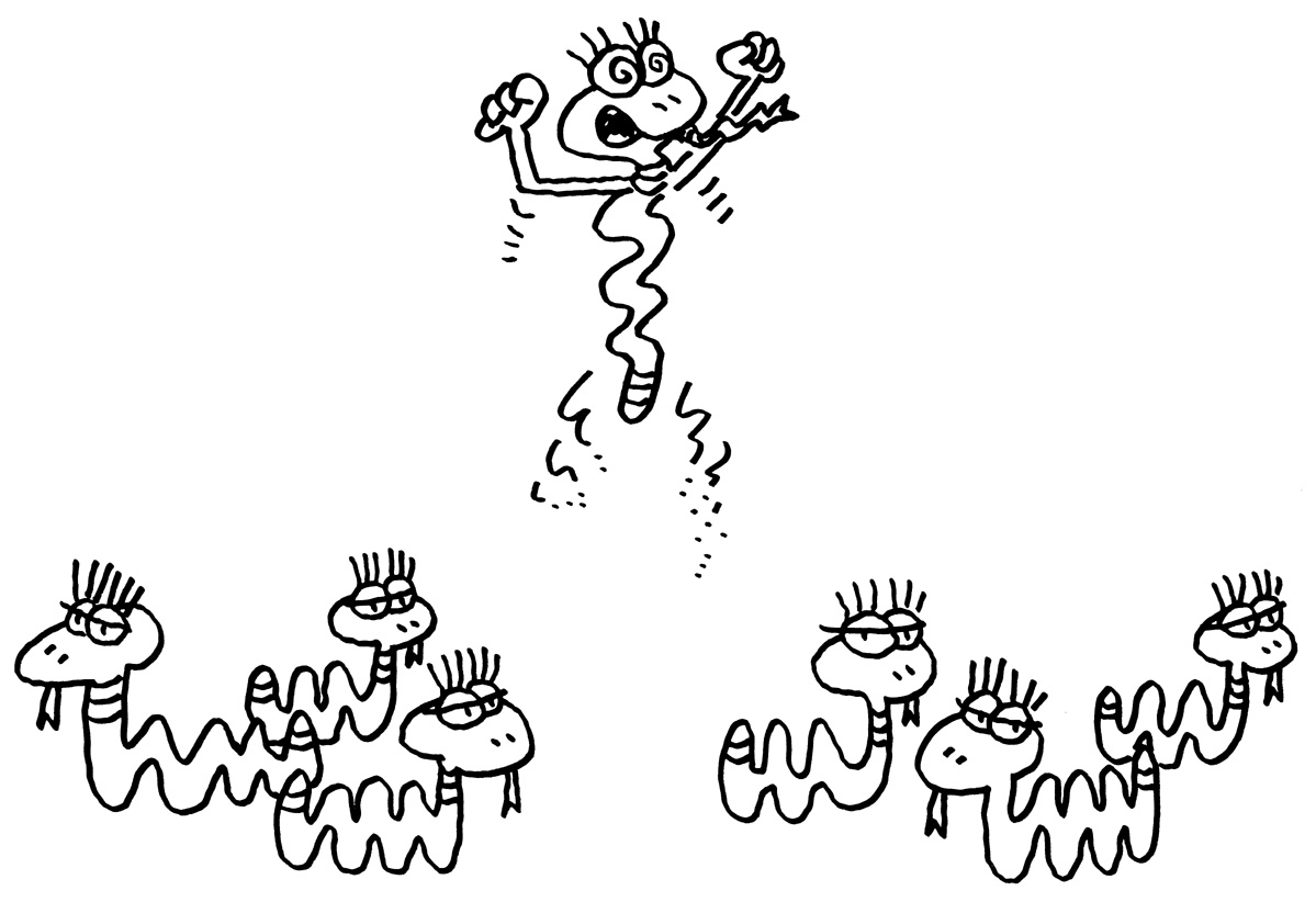 El Jardín de Douglas: Yayará