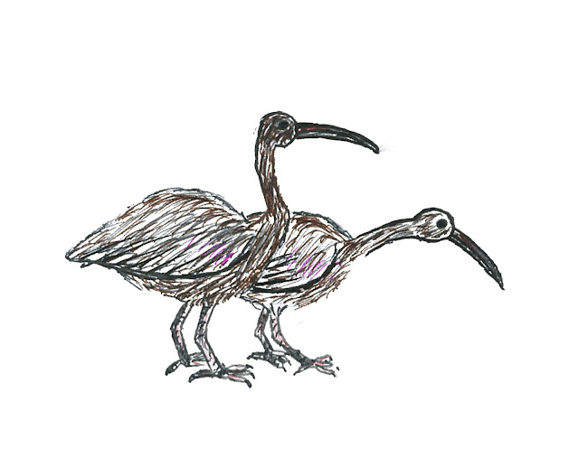 Diversity and Life: A view from the Holocene: Proliferation of Specific ...