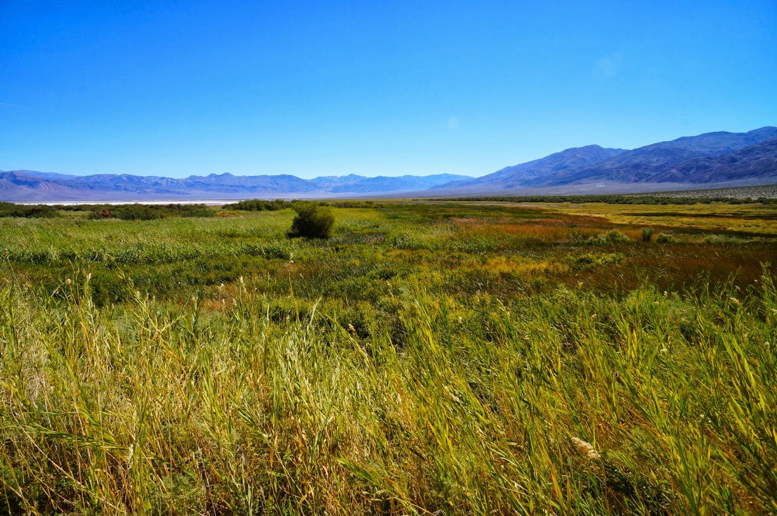 David Stillman: Saline Valley, Death Valley National Park