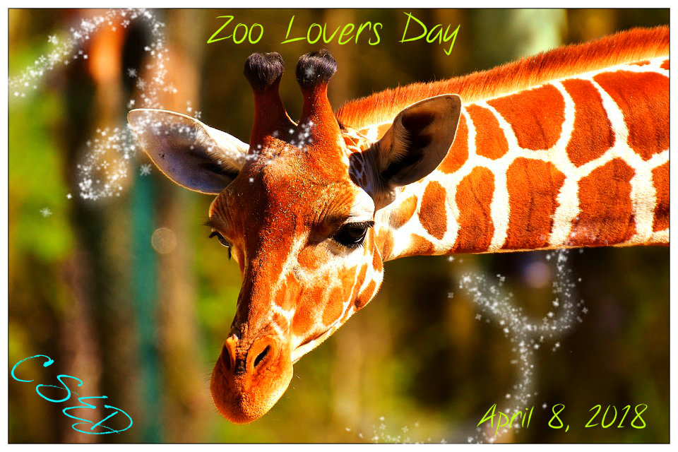 Crazy Days To Celebrate: April 8, 2018