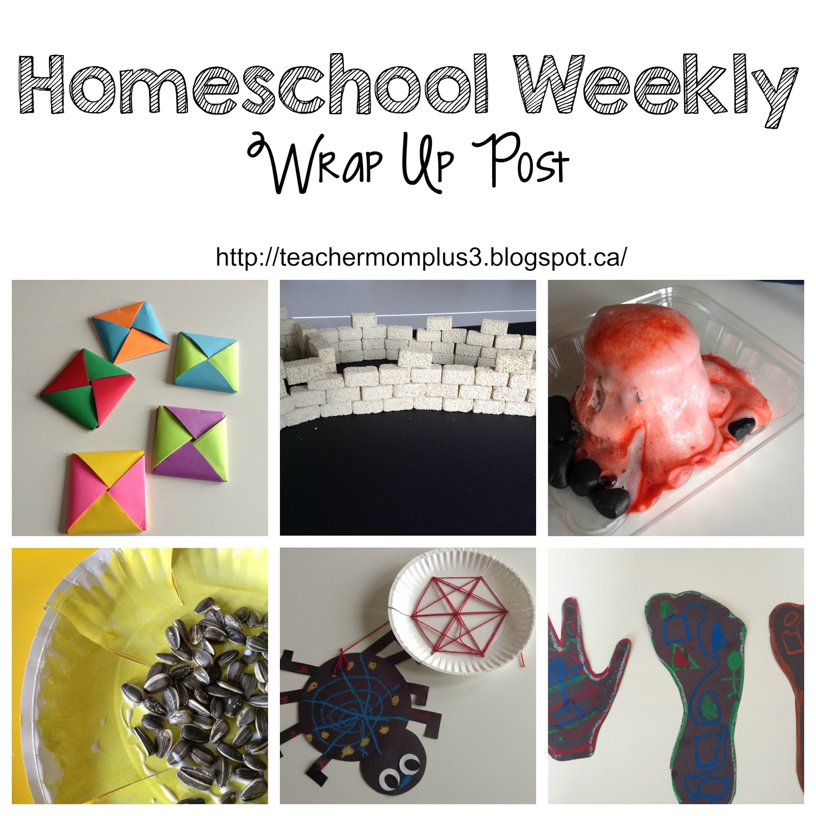 TeacherMomPlus3: Homeschool Weekly Wrap Up Post