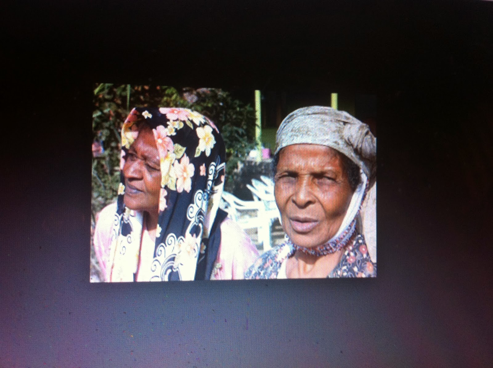 THE BLACK SOCIAL HISTORY:: BLACK SOCIAL HISTORY : AFRO-TURKS , HOW THE ...