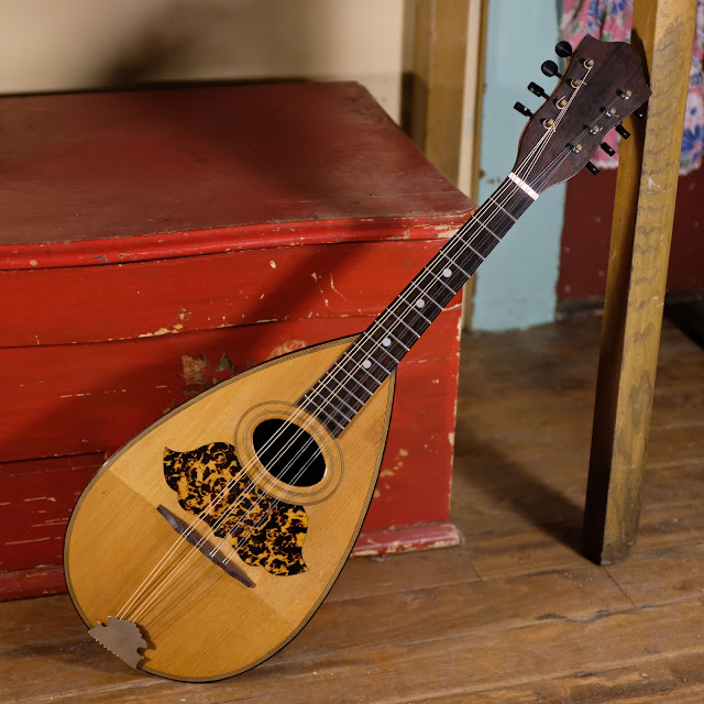 1890s Eugene Howard Bowlback Mandola