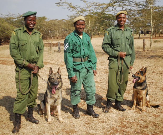 Think Elephants International