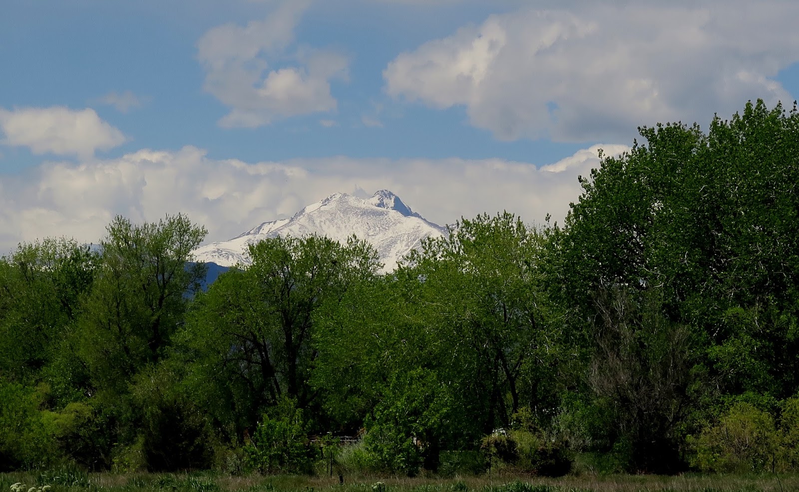 Living Rootless: Colorado: Longmont: Roger's Grove Nature Area