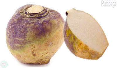 Vegetables Names with Meaning and Picture | Vegetable Vocabulary ...