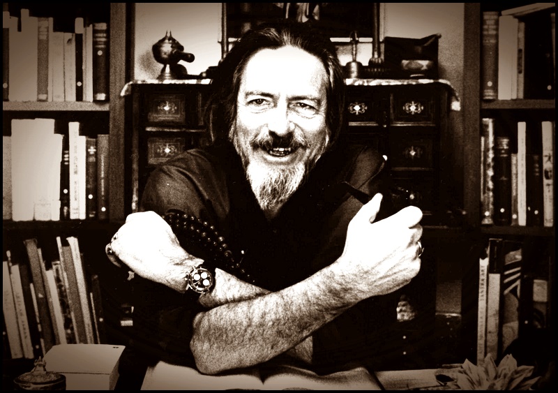Five or eleven quotes from Alan Watts...