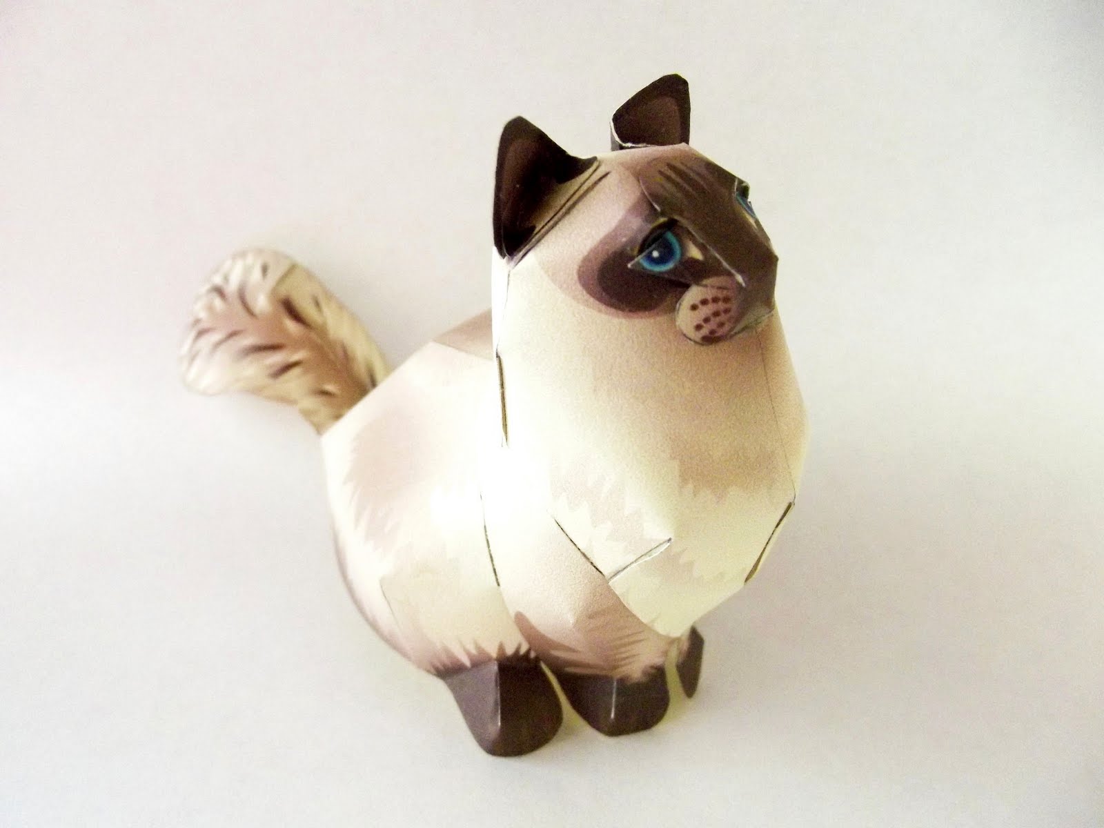 Marília Medeiros - Arte: Gatinho Ragdoll em papercraft