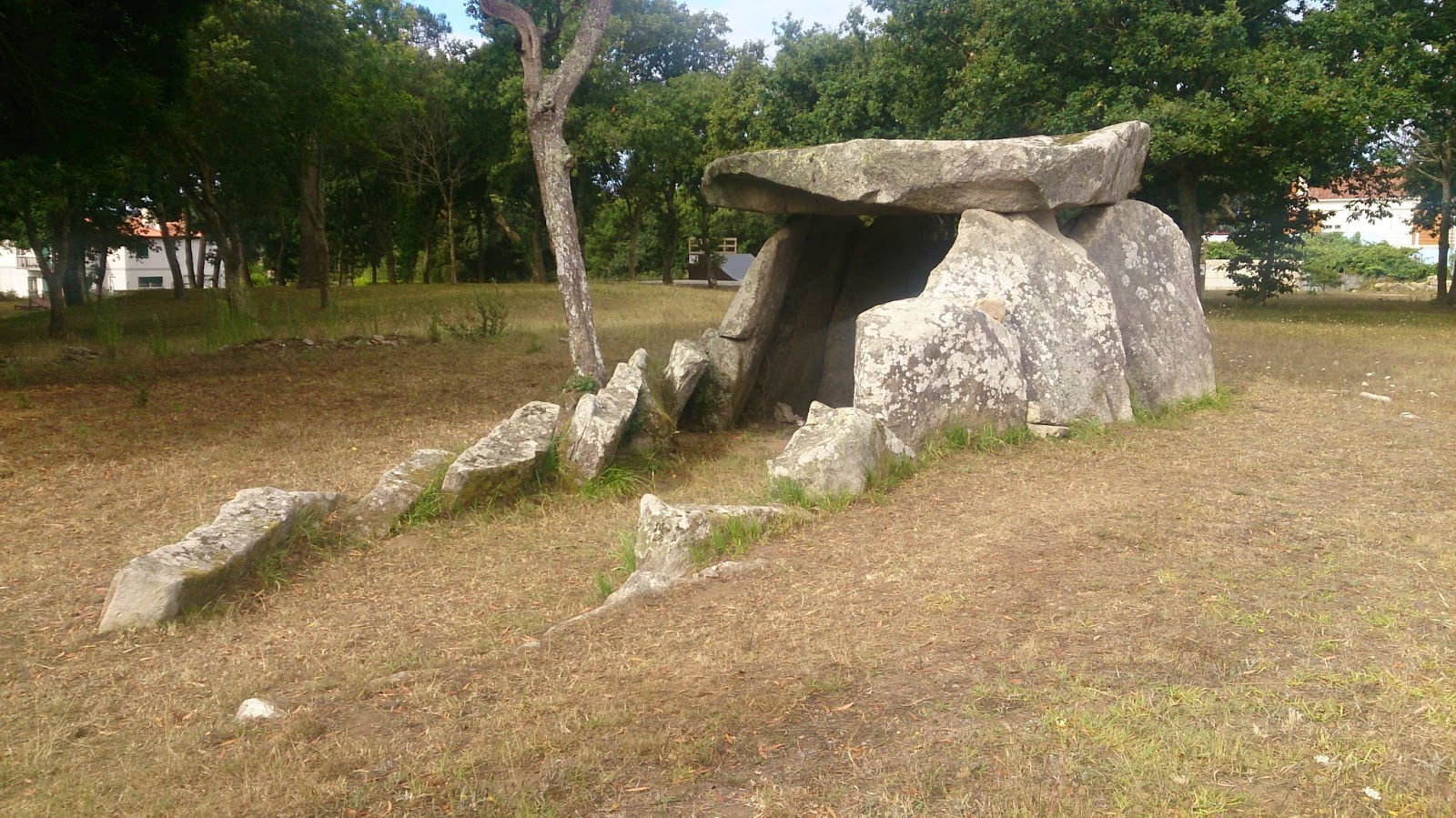 Arcis: Dolmens de Portugal