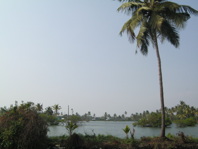 YAATHRA യാത്ര: Matsyafed Fish Farm, Narakkal,Ernakulam,Kerala