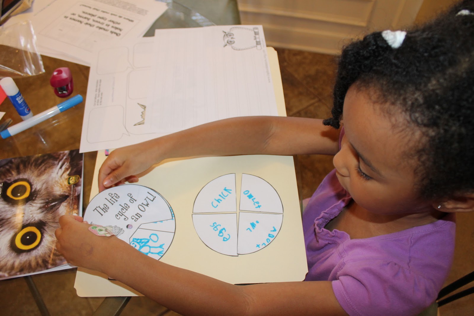 3G=Growing Godly Girlz: Our Owl Lessons {Owl Babies Lapbook}