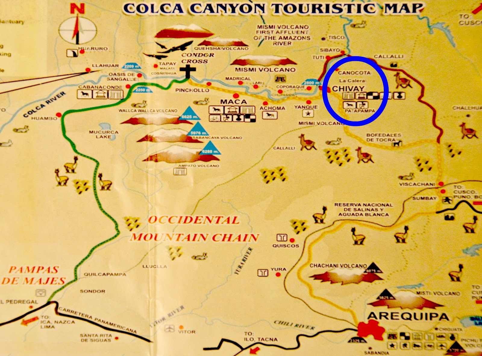 Zorro Corredero de Cadalso de los Vidrios: El Cañón del Colca.Perú ( l )