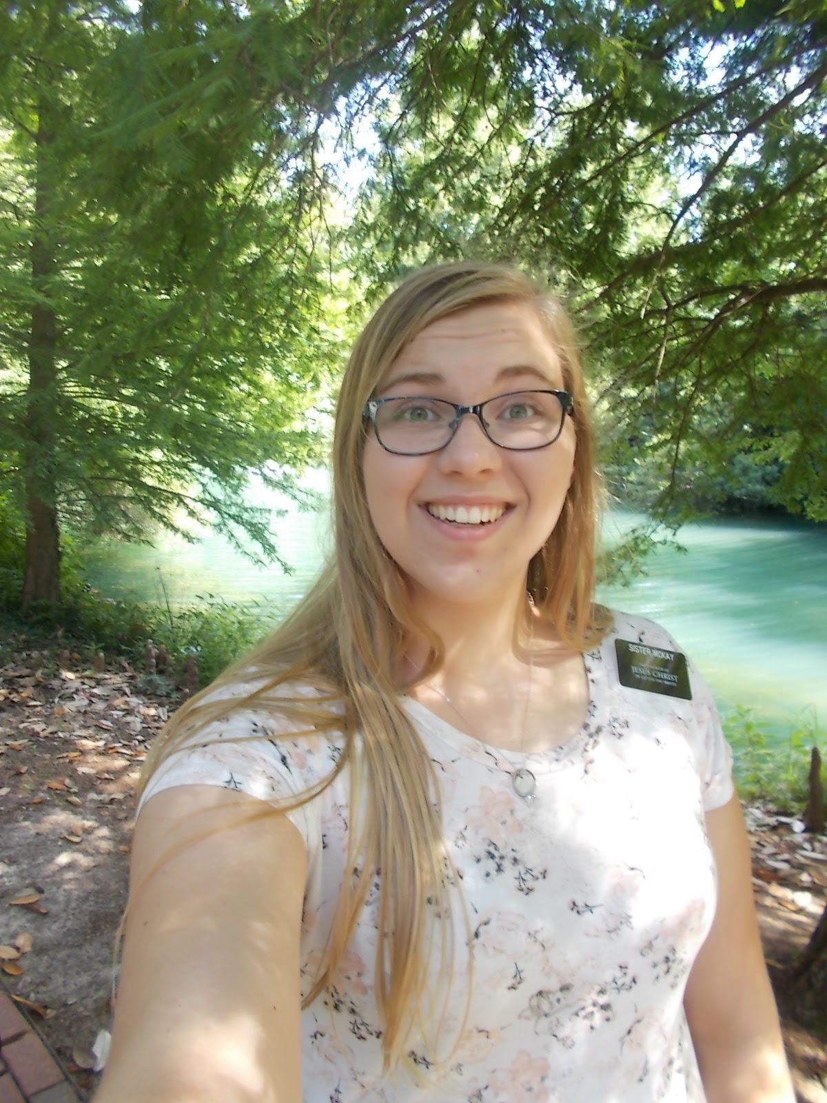 Journey Through Georgia: Below the Gnat Line