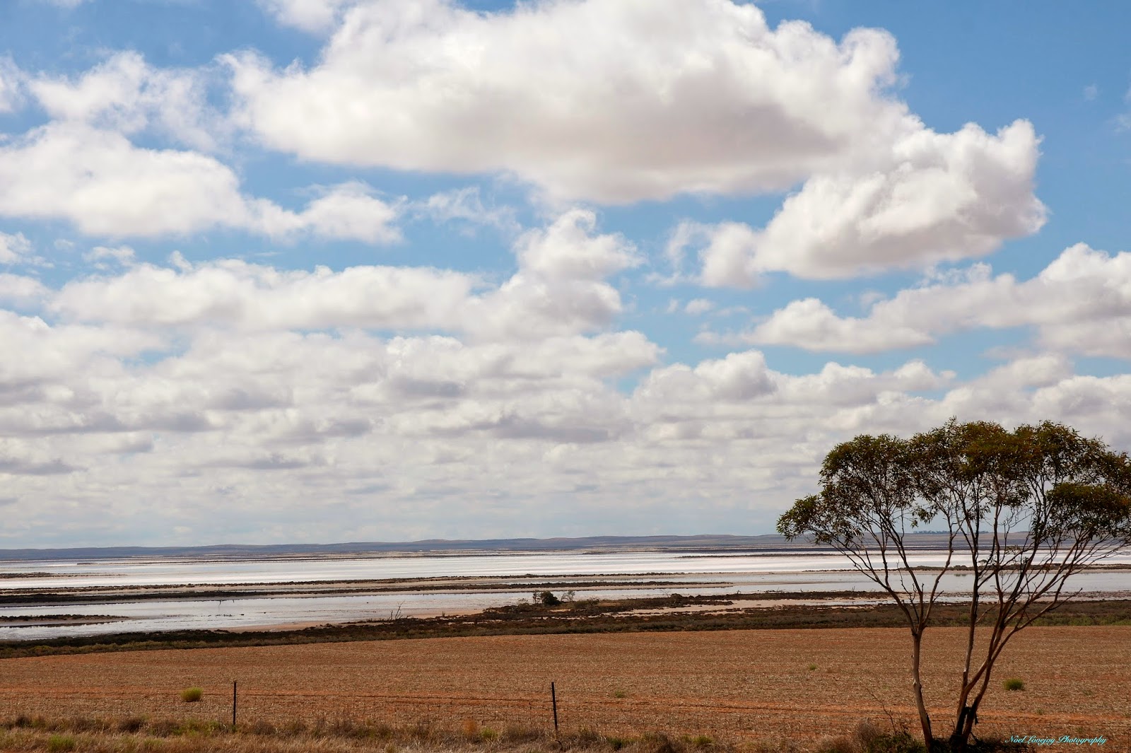 Can Go Around Australia: Nyah to Hopetoun, Victoria.