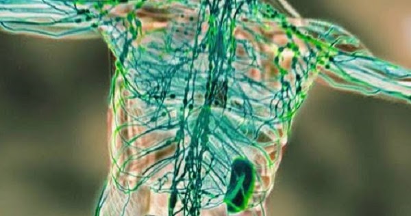 Medicina i lijek: 5 Top biljaka protiv oštećenih limfnih čvorova!