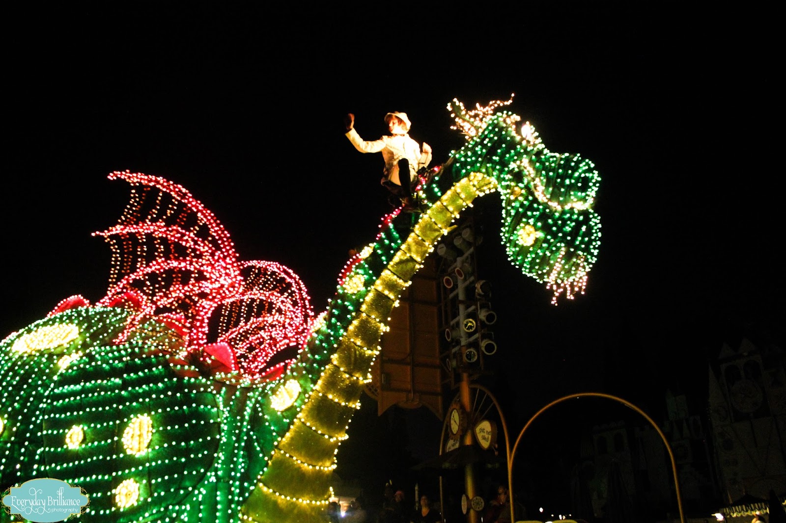 Everyday Brilliance Photography: Main Street Electrical Parade