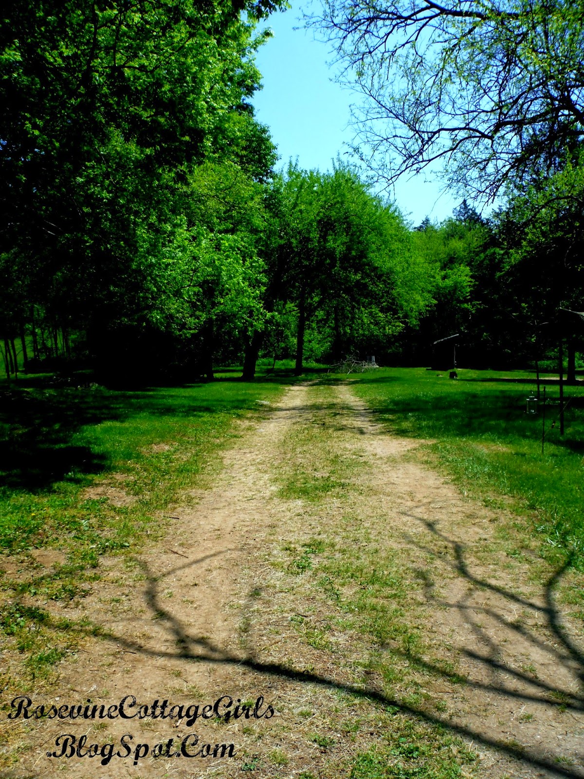 Bledsoe's Fort 8th Annual Colonial Fair