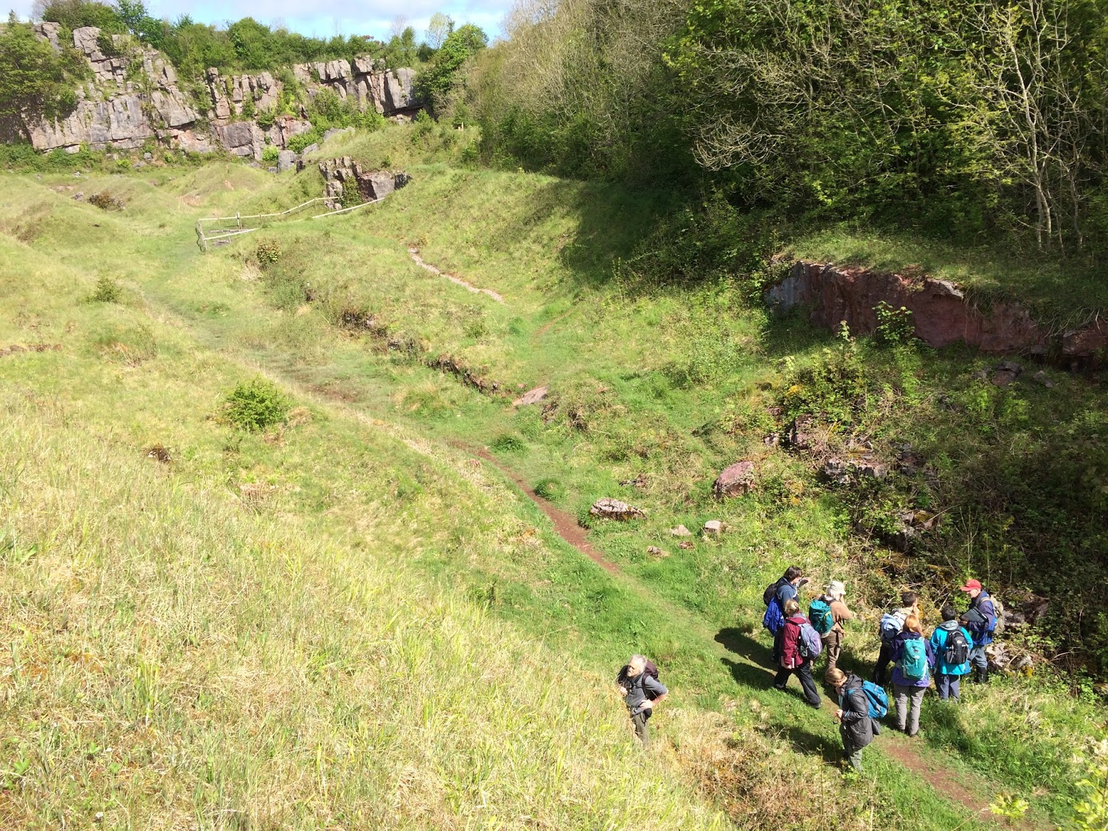 Last word on the BSBI Summer Meeting